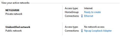 what is npcap loopback adapter livinglokasin