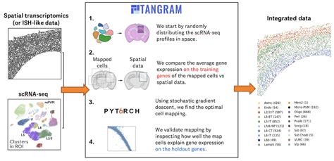 Batch Alignment Of Single Cell Transcriptomics Data Using Deep Warrmx