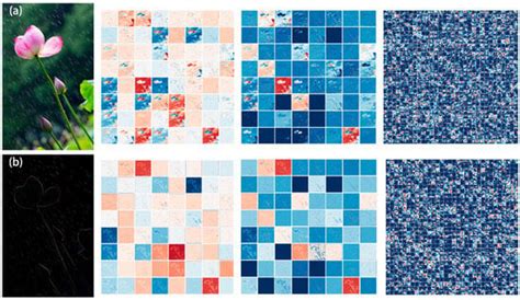 Gsderainnet A Deep Network Architecture Based On A Gaussian Shannon Filter For Single Image