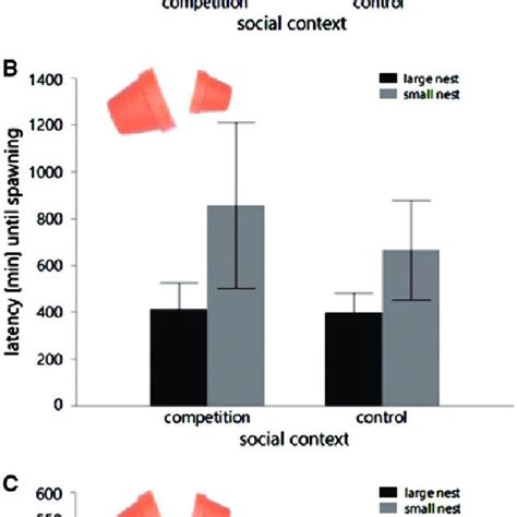 Male Size Experiment Testing Female Preferences For Male Size The Download Scientific