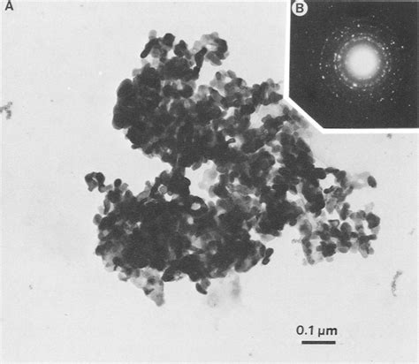 Transmission Electron Micrograph A And Selected Area Electron