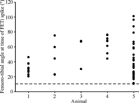 spikes of the fast extensor motor neuron feti occurred across a wide