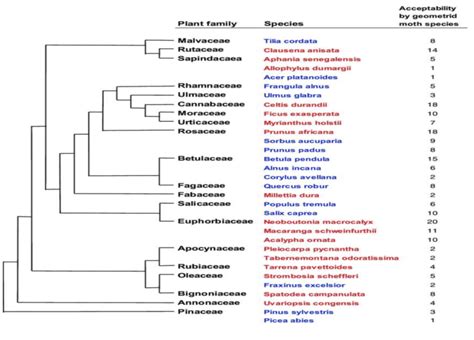 Biometrics Numerical Taxonomy And Cladistics Biology Notes Online