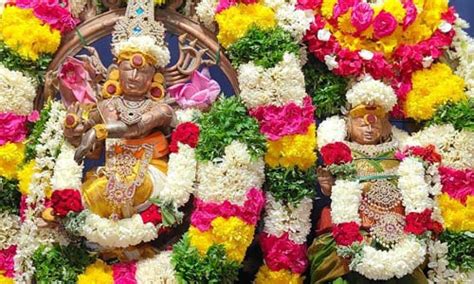 Ani Thirumanjanam At Villupuram Kailasanathar Temple Special Abhishekam To Nataraja