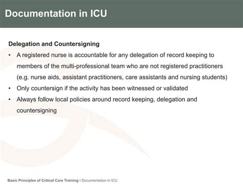 Module 51 Documentation In Icu Pptx Healthcare Industry Industries