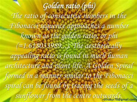 maths in nature fibonacci pptx