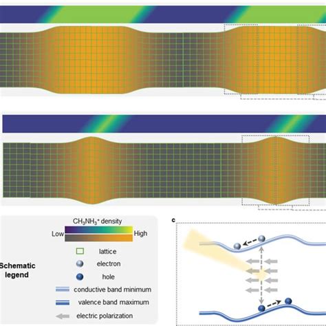 Illustration Of Strain Chemical Gradient Induced Electric Polarization Download Scientific