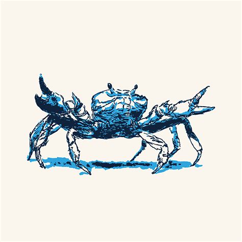 Ghost Crab Drawing