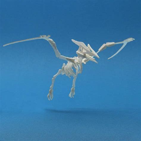 Pterodactyl Mini Skeleton Bones Etsy Tiny Dinosaur Dinosaur Skeleton Skeleton Model