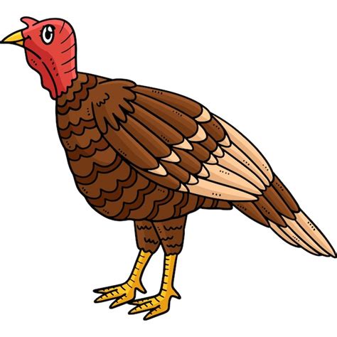 Premium Vector Mother Turkey Cartoon Colored Clipart Illustration