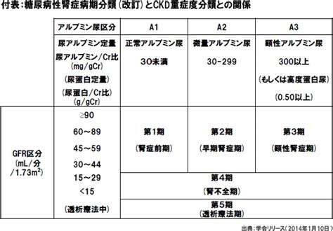 糖尿病性腎症の病期分類を改訂 糖尿病性腎症合同委員会 ニュース 糖尿病ネットワーク