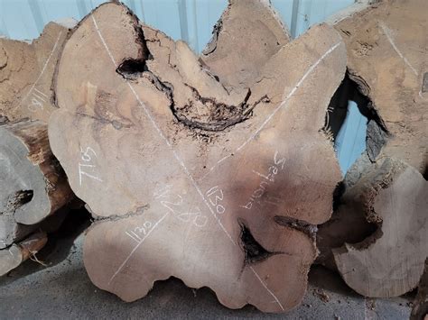 Sequoia Slice Great Resin Coffee Table Top Woodpatch House And Garden