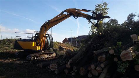 New Forest Tree Surgeon Gallery Of Work By Climbersway