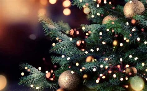 Φωταγώγηση Χριστουγεννιάτικου Δέντρου στον Πύργο Ορεστιάδας