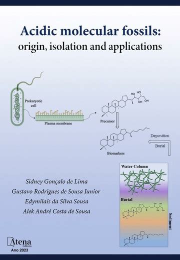 Acidic Molecular Fossils Origin Isolation And Applications Atena Editora Free Download