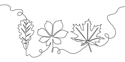 一笔画 图源免费eps文件 Leaves Continuous Line Drawing Set One Line Art Of Tree Leaves Herb Plants