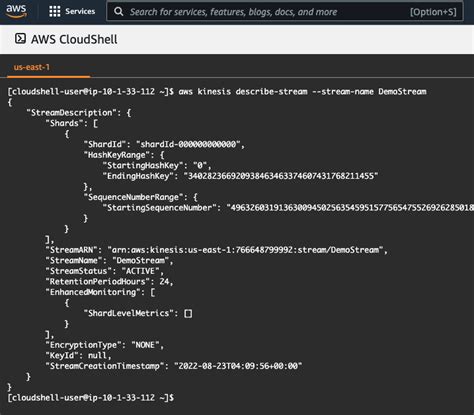 How Kinesis Data Stream Works Developersio