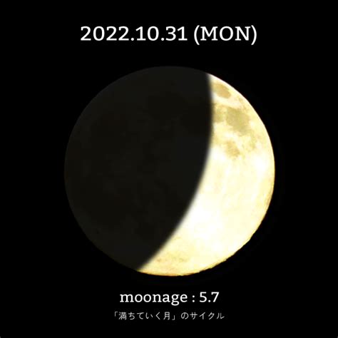 山羊座の月明日は上弦の月 ｜10月31日の月からのメッセージ