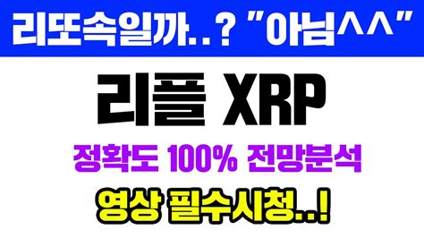 리플 Xrp 긴급 이번에도 리또속 고민중이세요 정확도 100 전망분석 영상 필수시청 코인시황 Youtube