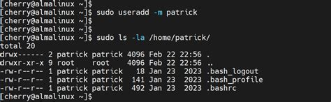 How To Create A User In Linux Cherry Servers