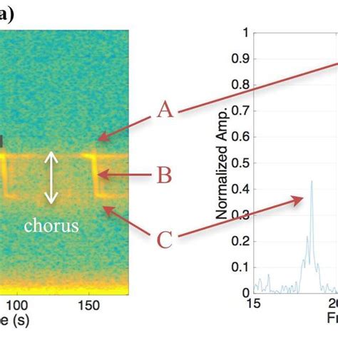 a spectrogram of three successive z calls b spectrum of unit a and