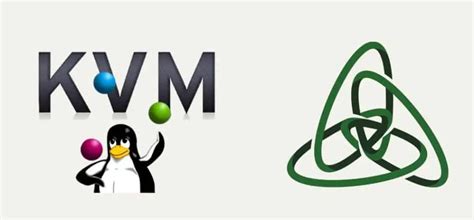 Kvm Vs Openvz Vps Which Is Best For You