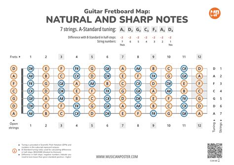 7 String Guitar Fretboard Map With All Notes In A Standard