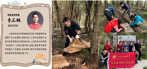 农科英才聚力林下菌菇助力疫情保供 科技服务 新闻中心 上海市农业科学院