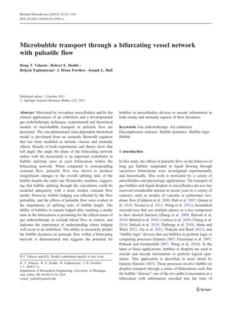 Microbubble Transport Through A Bifurcating Vessel Network With