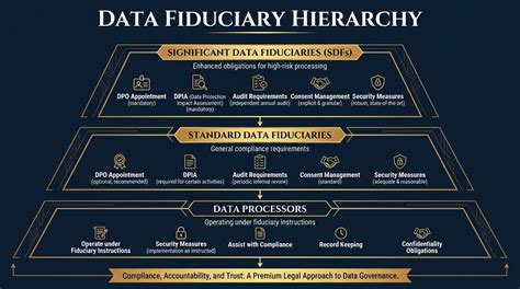 Data Fiduciary Hierarchy Dpdpa Visual Guide Amlegals Amlegals Dpdpa