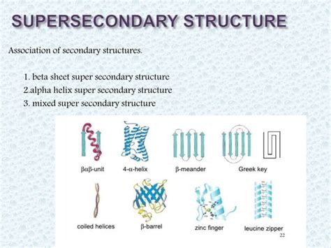 PROTEIN STRUCTURE PRESENTATION PPTX