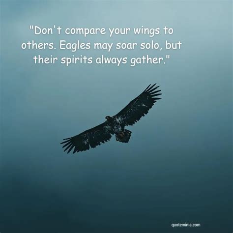 100 Epic Eagle Quotes To Uplift Your Spirit