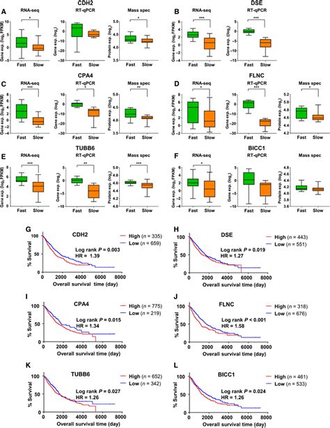 Gene Expression And Survival Analyses Of Six Candidate Genes A‐f Download Scientific Diagram