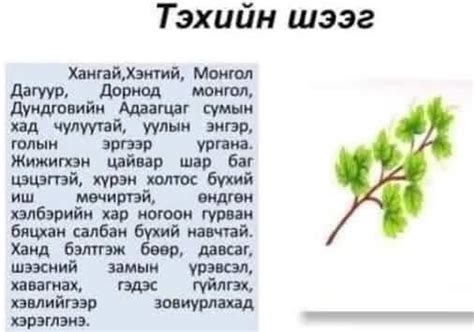 Ecomall Ecomall Added A New Photo