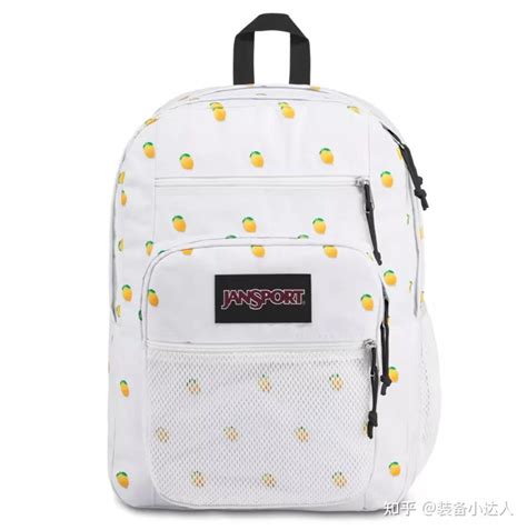 2022超级流行的时尚双肩包品牌推荐 好看又耐用！ 知乎