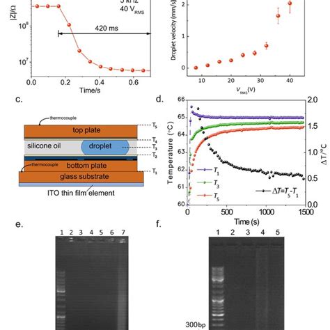 Digital Microfluidics With Loop Mediated Isothermal Amplification Download Scientific Diagram