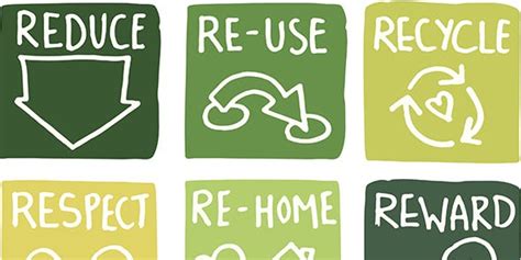 How To Recycle A Vibrator Sex Toy Electrical Appliances