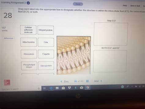 solved learning assignment 3 a saved help save and exit su