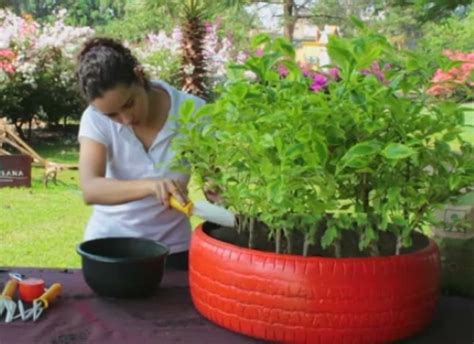 Cómo Hacer Macetas Con Neumáticos Ideas Practicas Paso A Paso Plantas