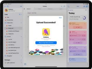 swift编程软件只能装iPad上吗 寻小山问答