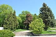 Categoryold Park Ternopil Wikimedia Commons