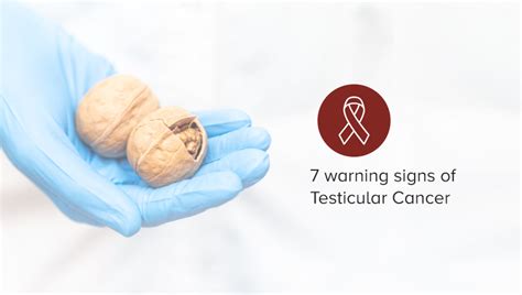 7 Warning Signs Of Testicular Cancer Know The Symptoms