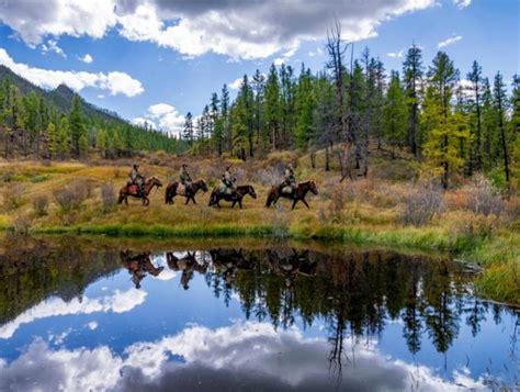 Хилийн зурваст зөвшөөрөлгүй нэвтэрч хулгайн ан хийх гэж байсан иргэдийг саатууллаа