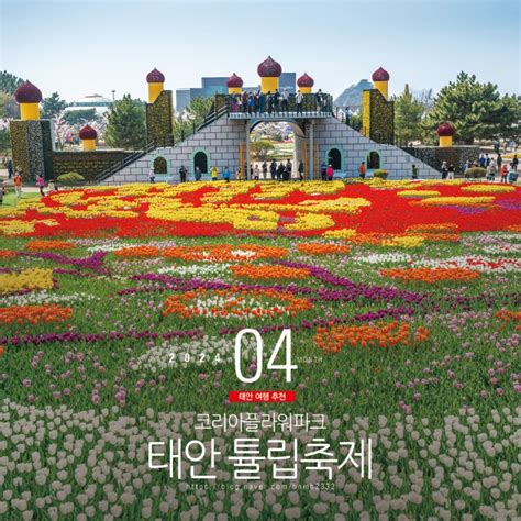 태안 튤립축제 안면도 가볼만한곳 태안 꽃박람회 태안꽃축제 먹거리 네이버 블로그