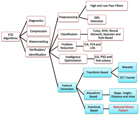 Sensors Free Full Text Ecg Sensor Card With Evolving Rbp Algorithms