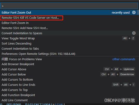Vscode服务器端不加载python和pylance扩展vscode Pylance Csdn博客