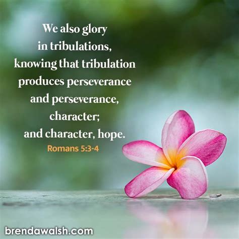 Perseverance Bible Verse