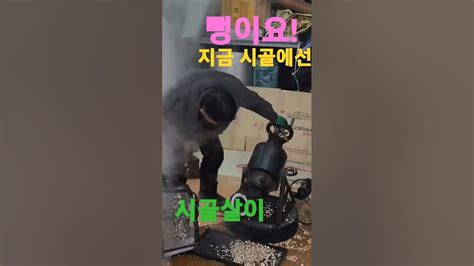 참 오랜많에 들어보는 뻥이요 소리에 추억이 새록새로 시골 겨울 뻥튀기아저씨 Youtube