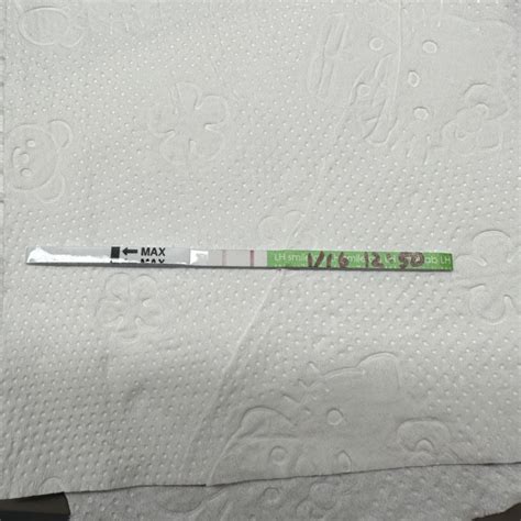 임신 준비 3회차 배란 1일차 증상배란 2일차 증상 배란 3일차 증상배란유도제 네이버 블로그