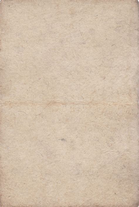 무료 이미지 도서 빛 목재 고대 미술 조직 바닥 늙은 브러시 마른 무늬 갈색 타일 그런지 종이 페이지 자료 구조 공백 직물 노골적인